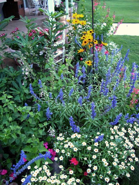 50 Ideas for a Red, White and Blue garden! – Flea Market Gardening